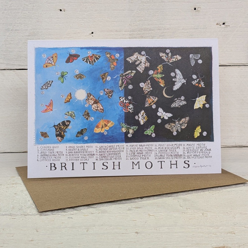 British Moths Card
